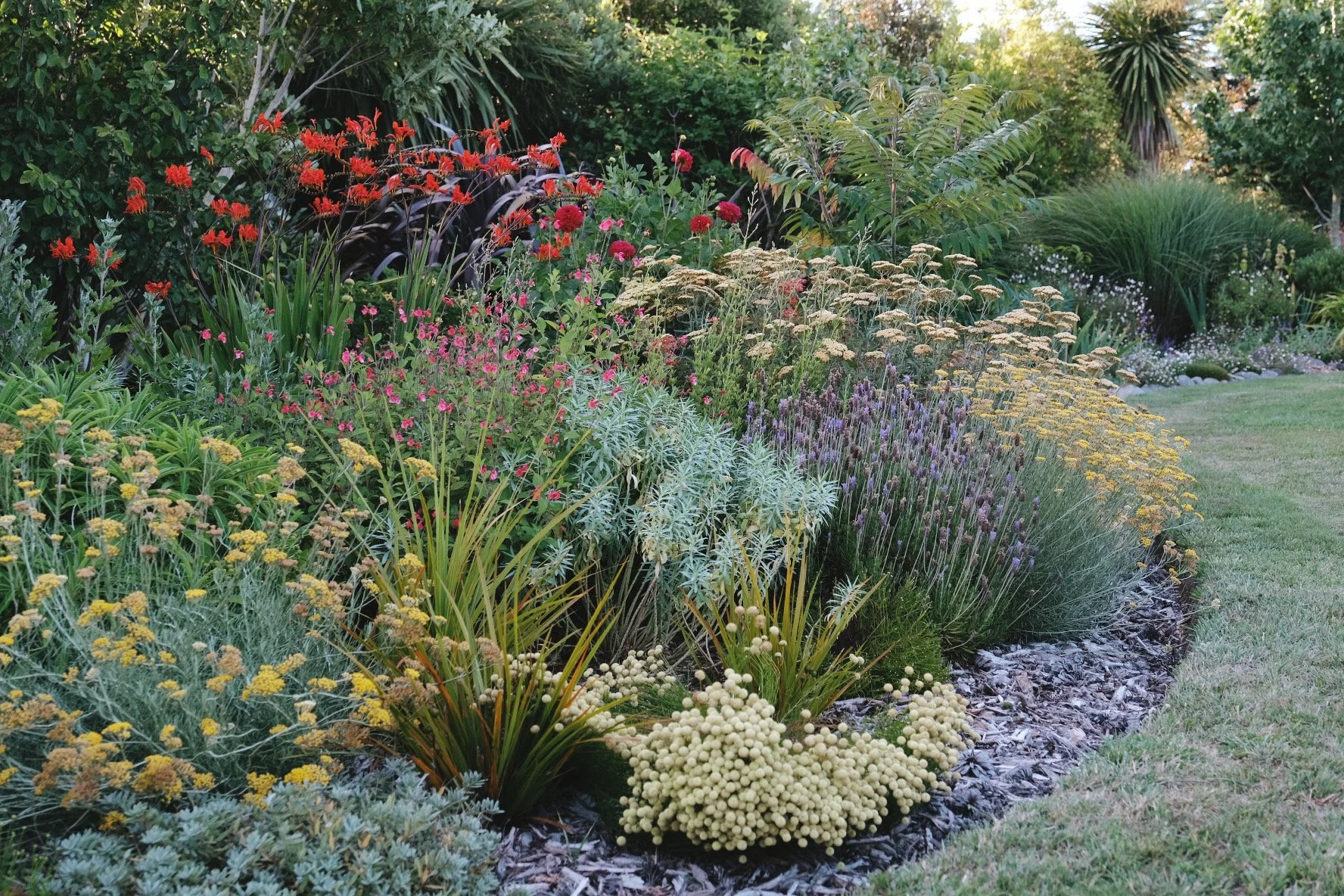 CLIMATE RESILIENT GARDENS — Unearthed.