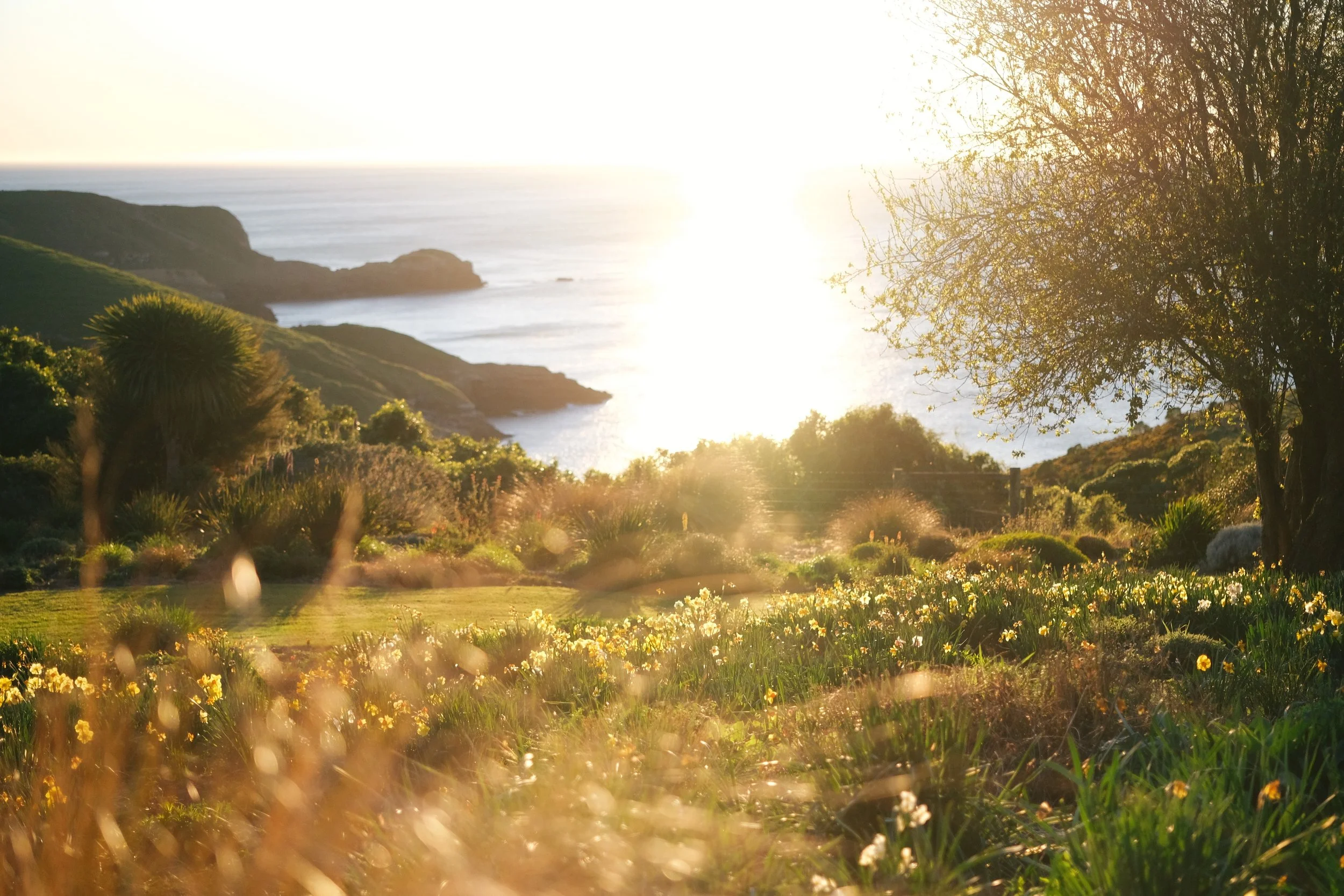 SPRING AT FISHERMANS BAY — Unearthed.