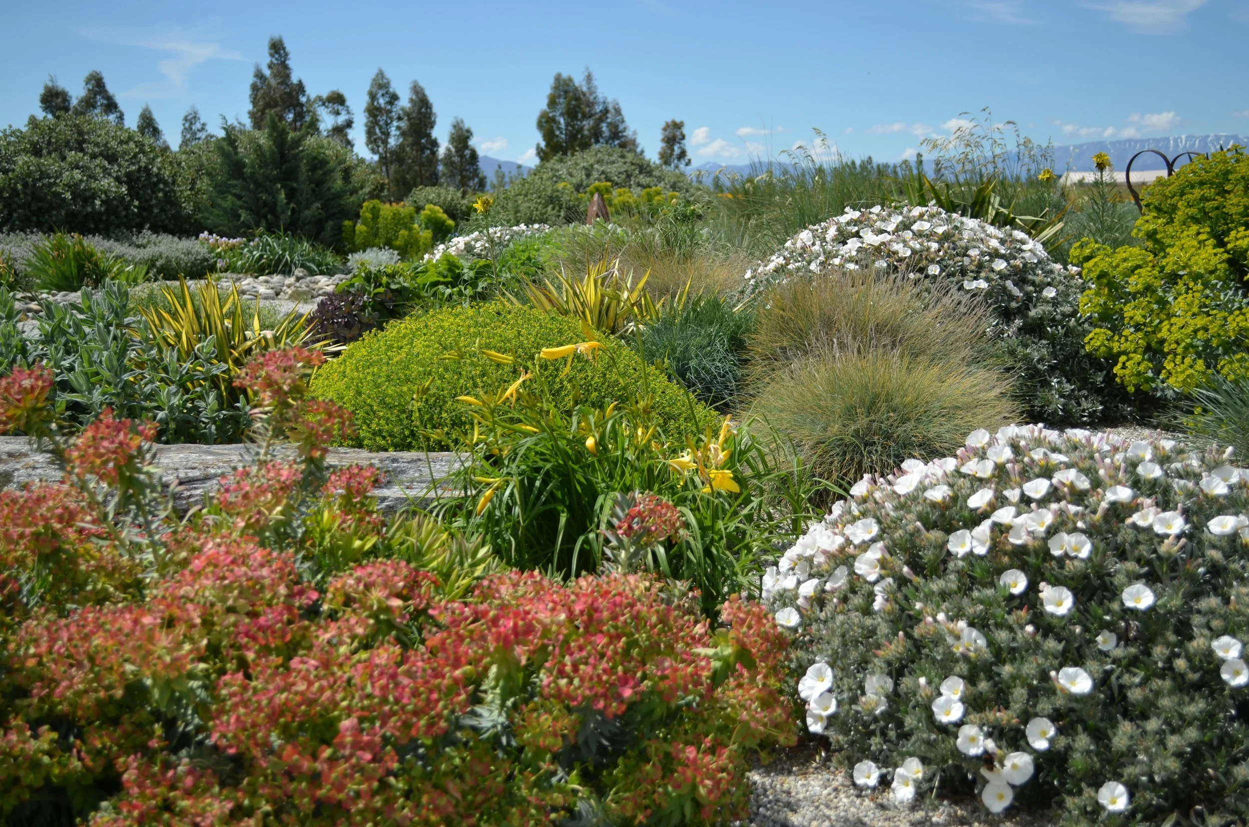 CLIMATE RESILIENT GARDENS — Unearthed.