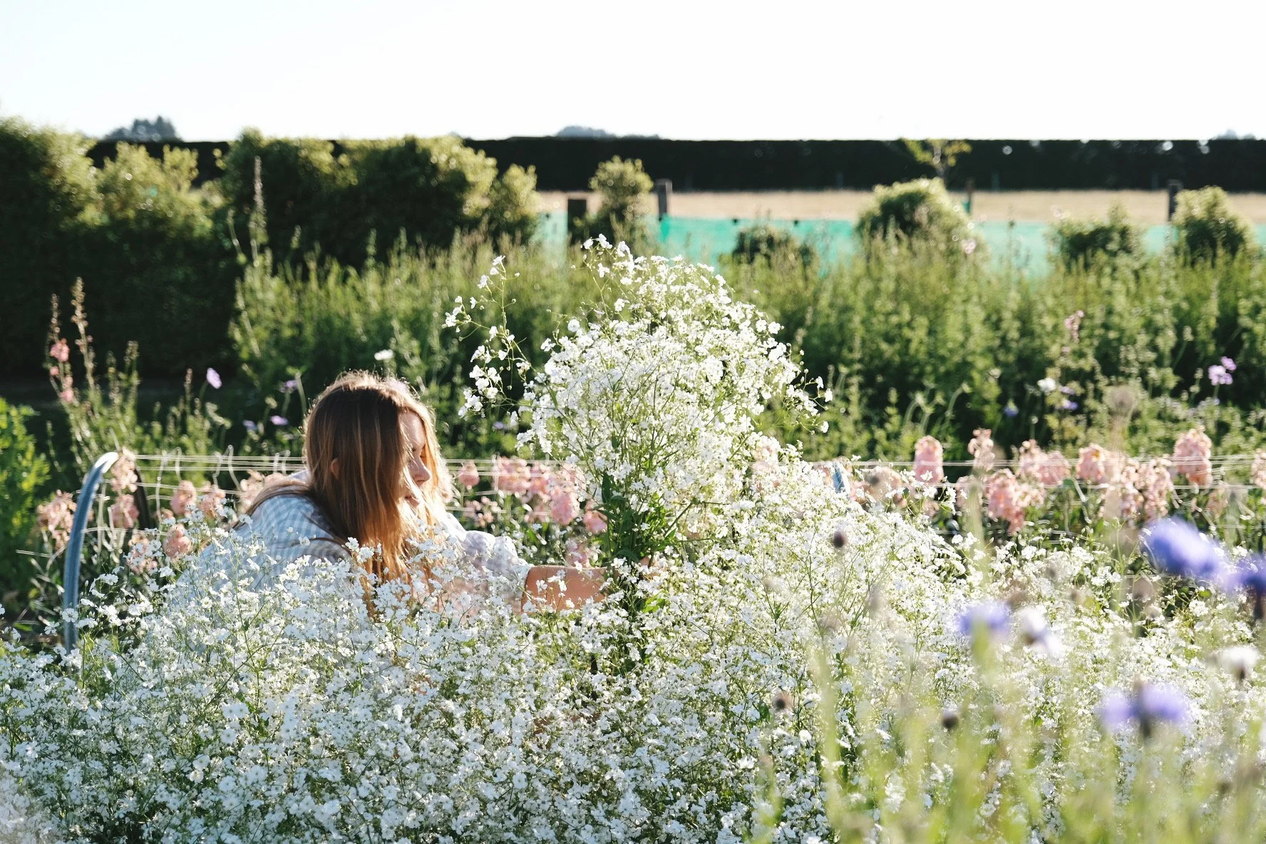 FLOWER FARMING IN THE DIGITAL AGE — Unearthed.