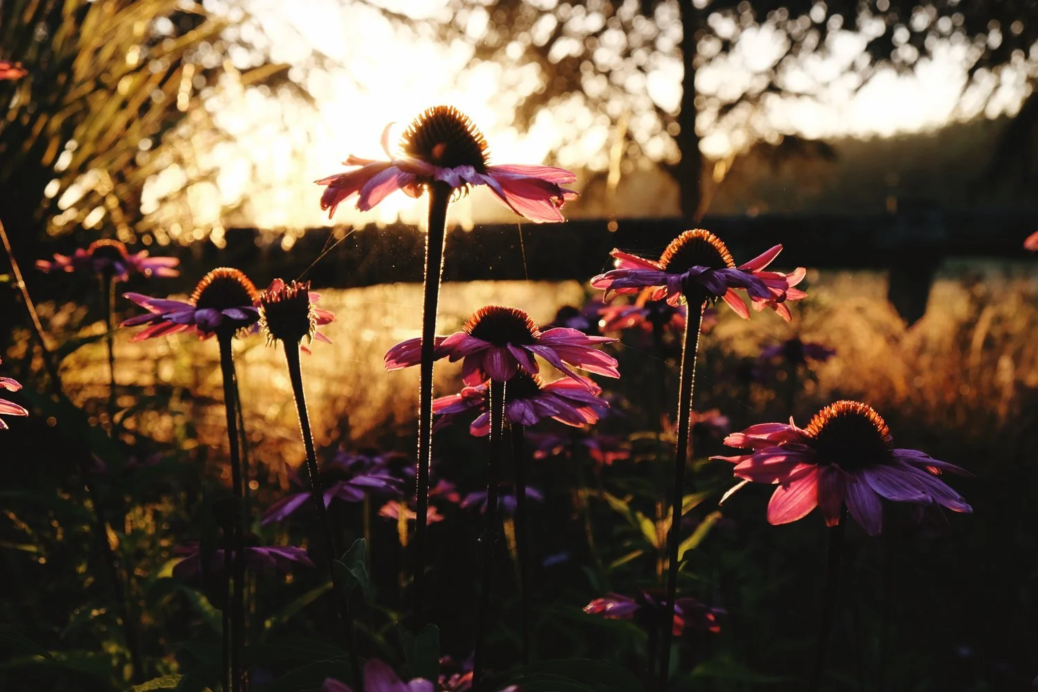 FLAXMERE — Unearthed.