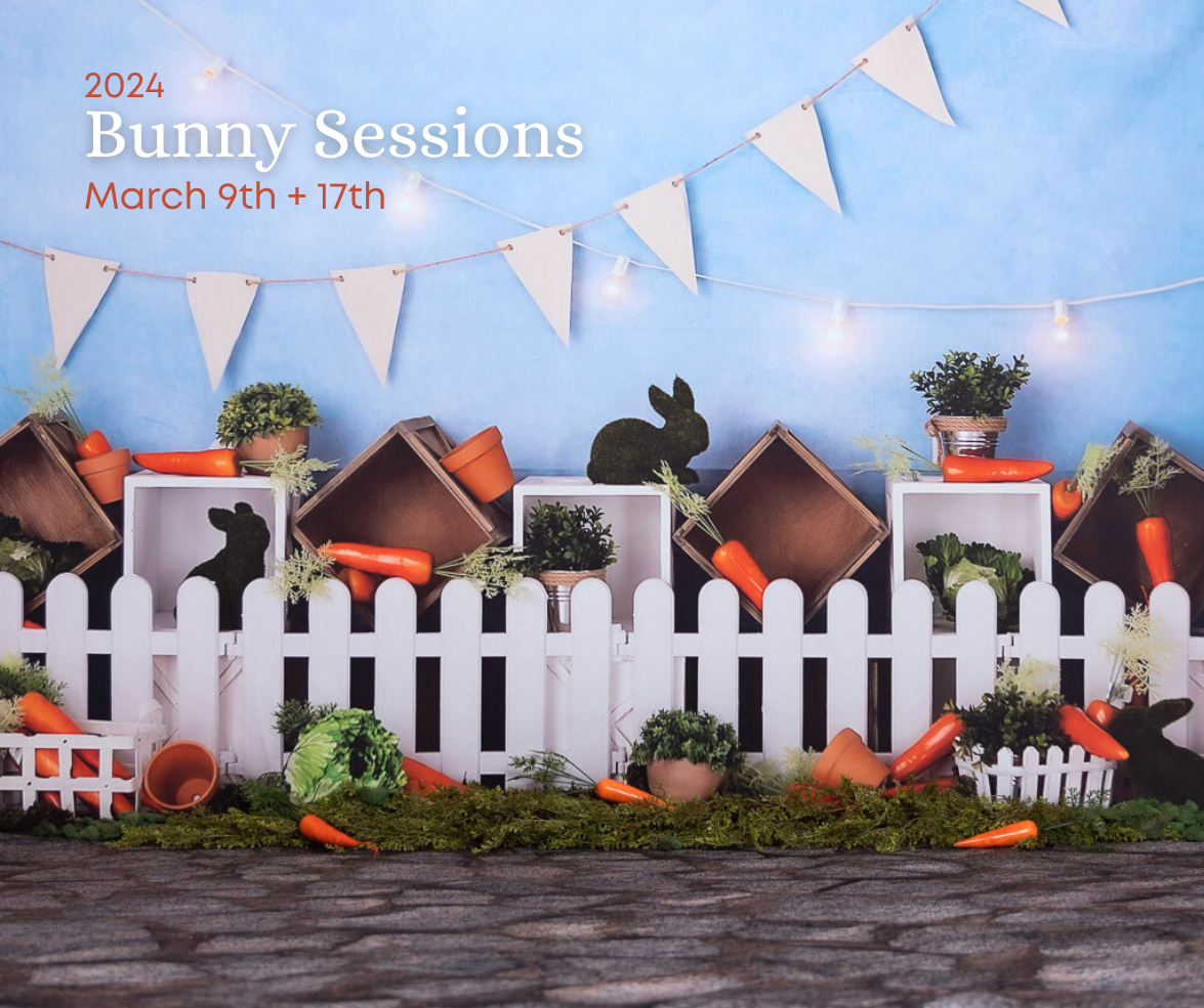 Live Bunny Sessions- How does it work? — Hayley Jurek Photography