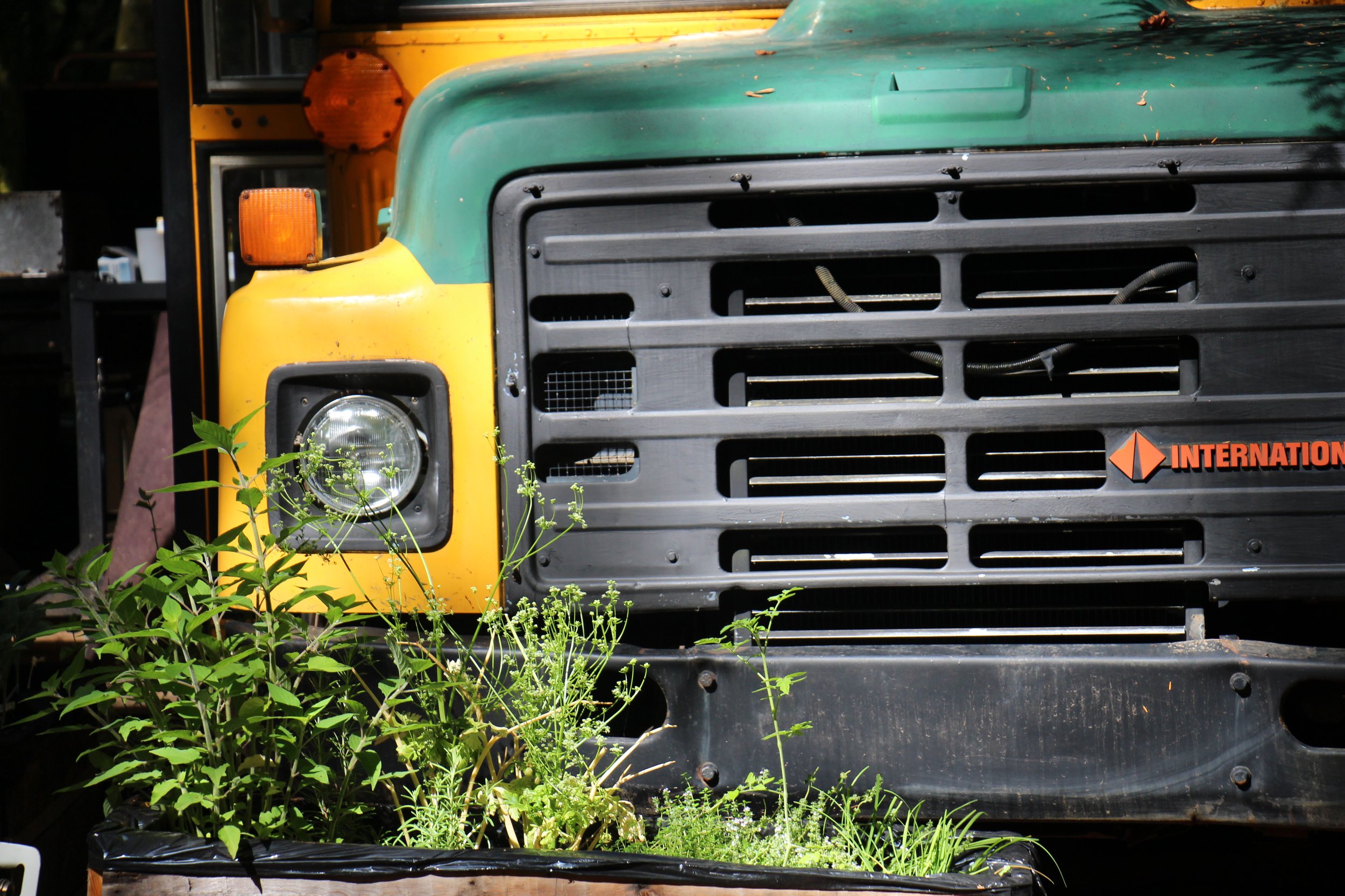 Approach Wilderness Camp — Stillwood