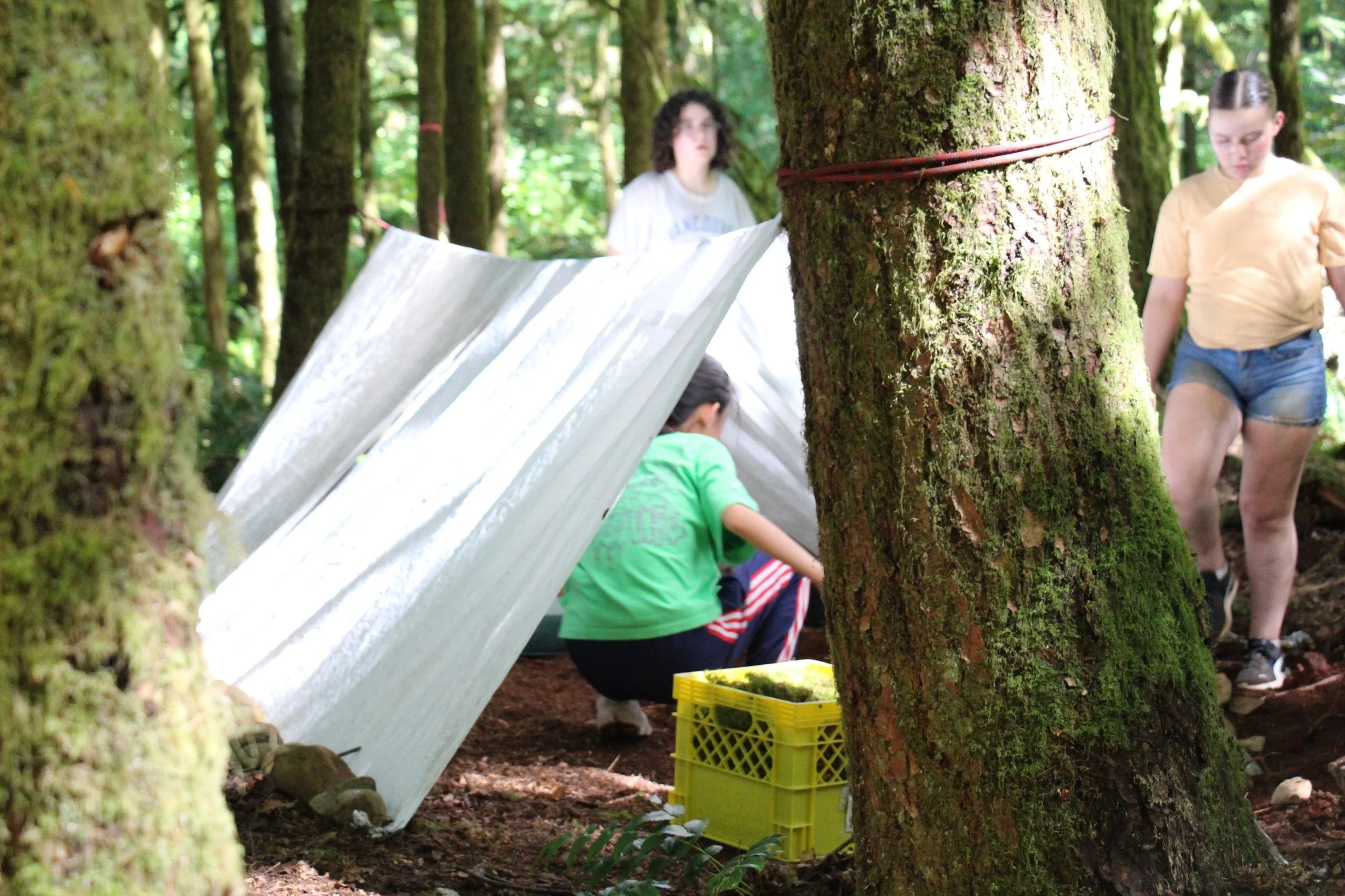 Approach Wilderness Camp — Stillwood