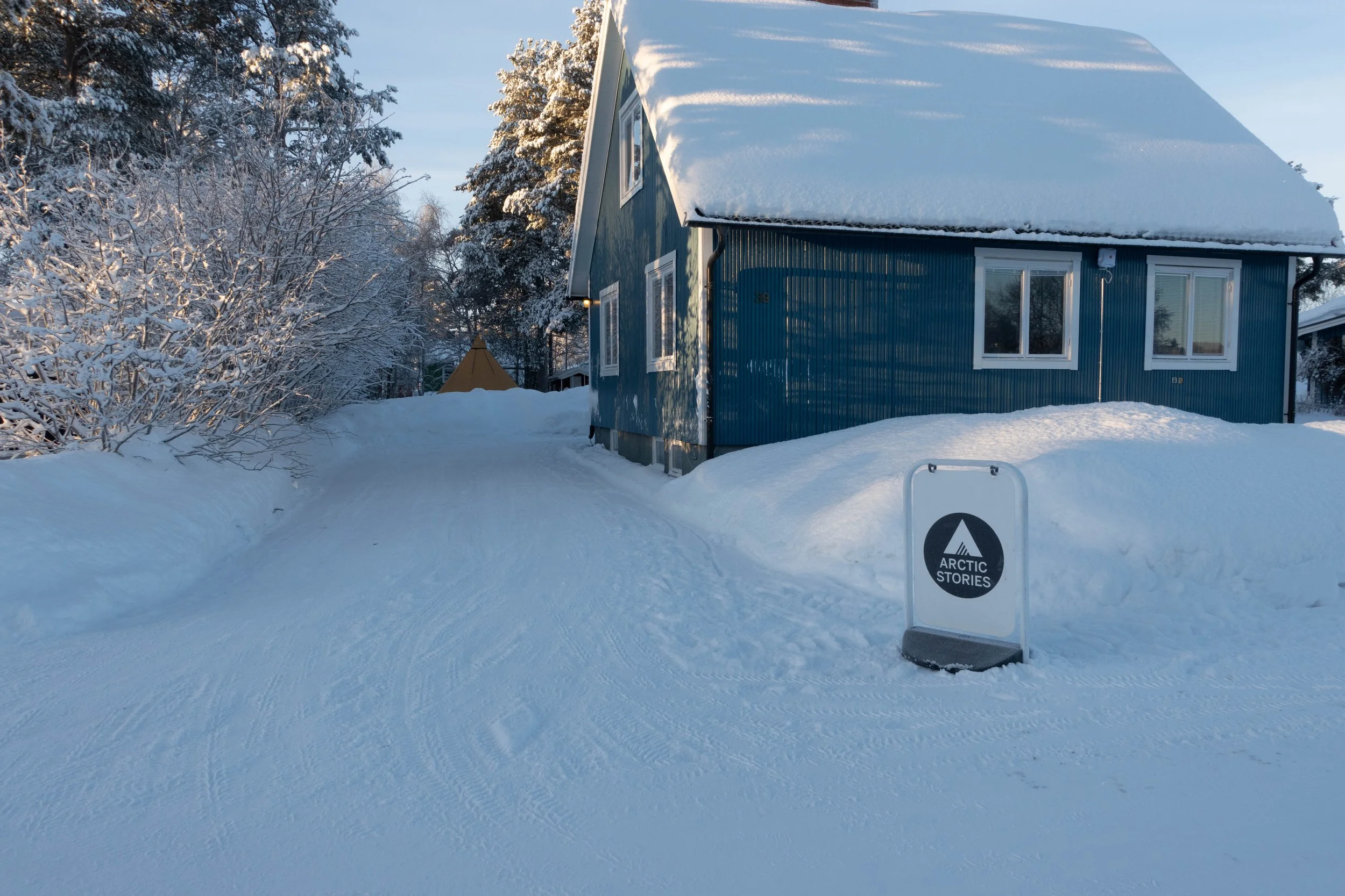 ARCTIC STORIES