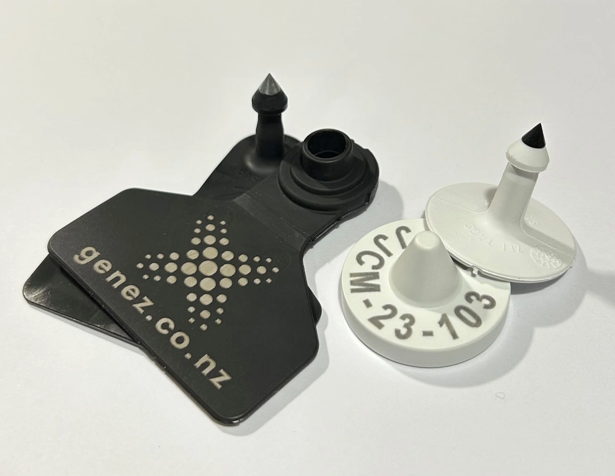 The Programme — genez