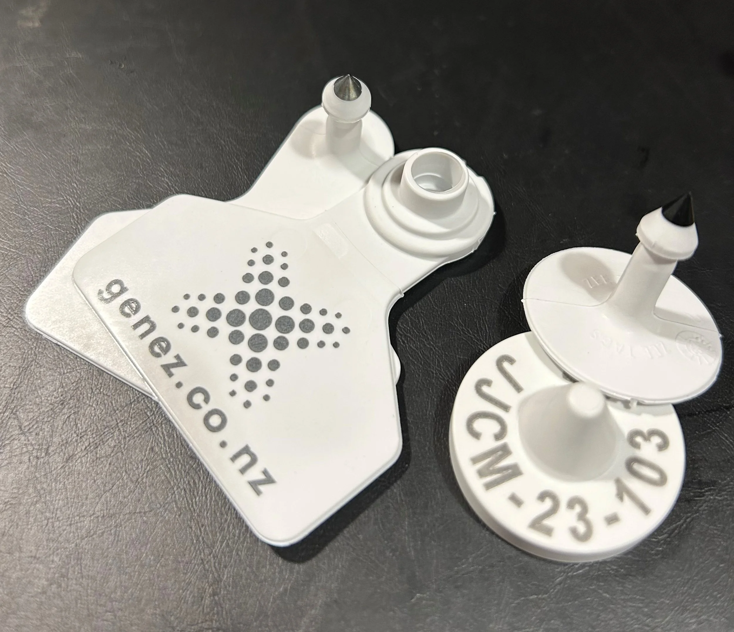 The Programme — genez