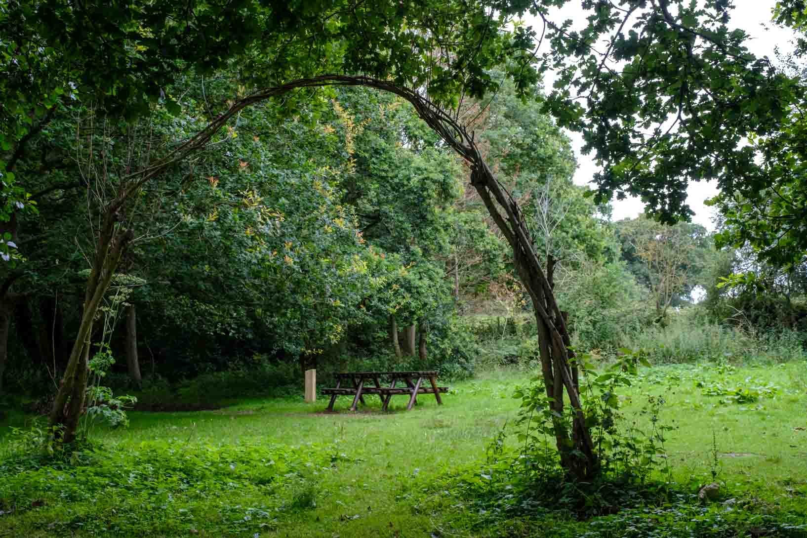 Mindfulness Walk — Sibling Support