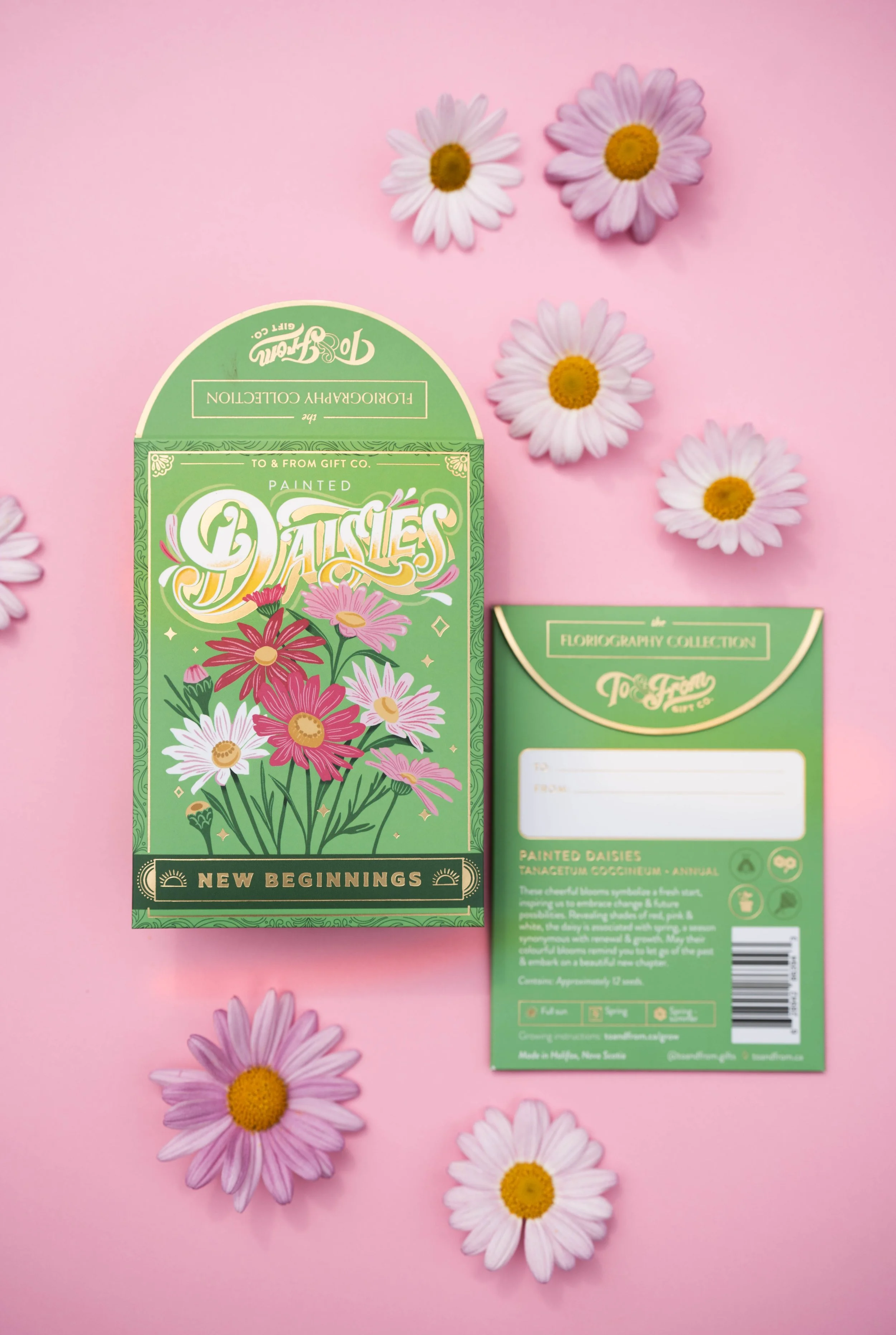 Painted Daisies (New Beginnings) - Seed Packet — To & From Gift Co.