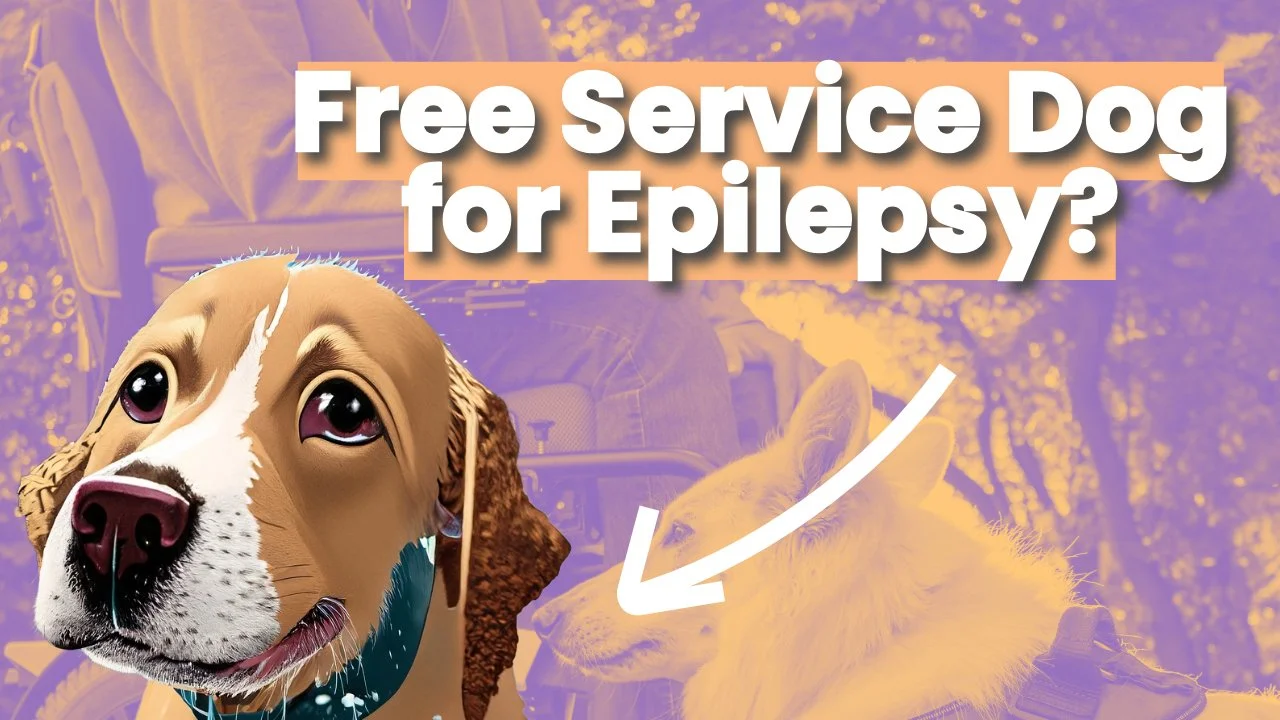 How to Get a Free Service Dog for Epilepsy — Paid.Care