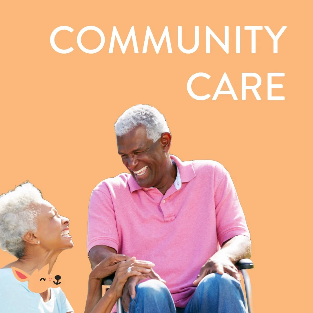 Community Care Program Illinois and IDHS Home Services Program — Paid.care