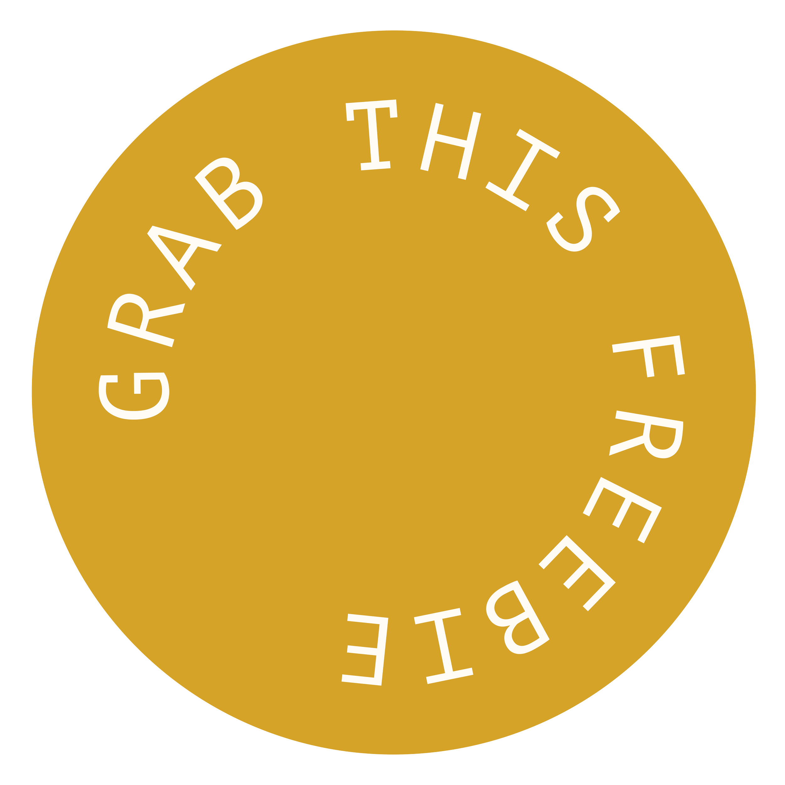 Stelle Design Studio -Branding & Web Design