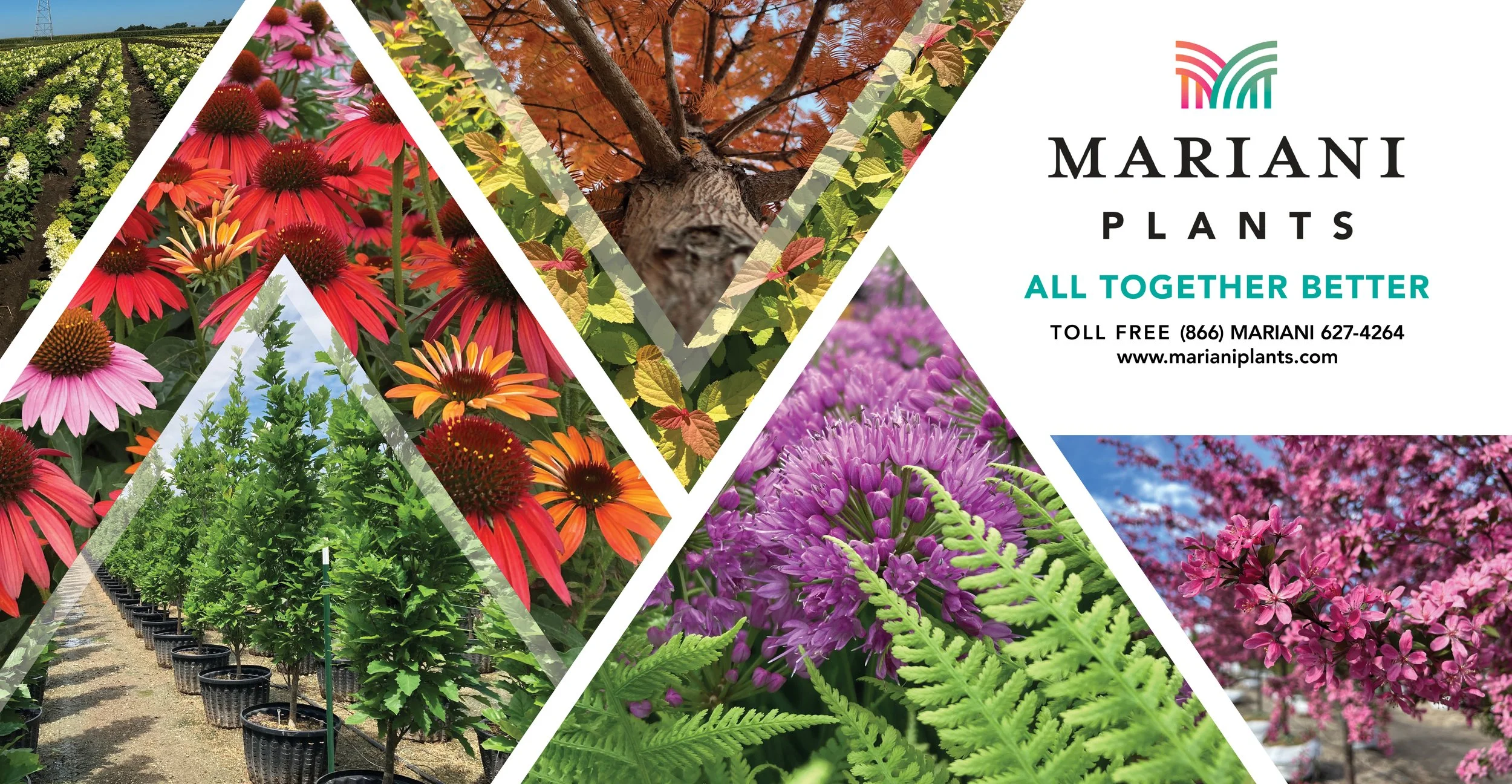 About the People — Mariani Plants
