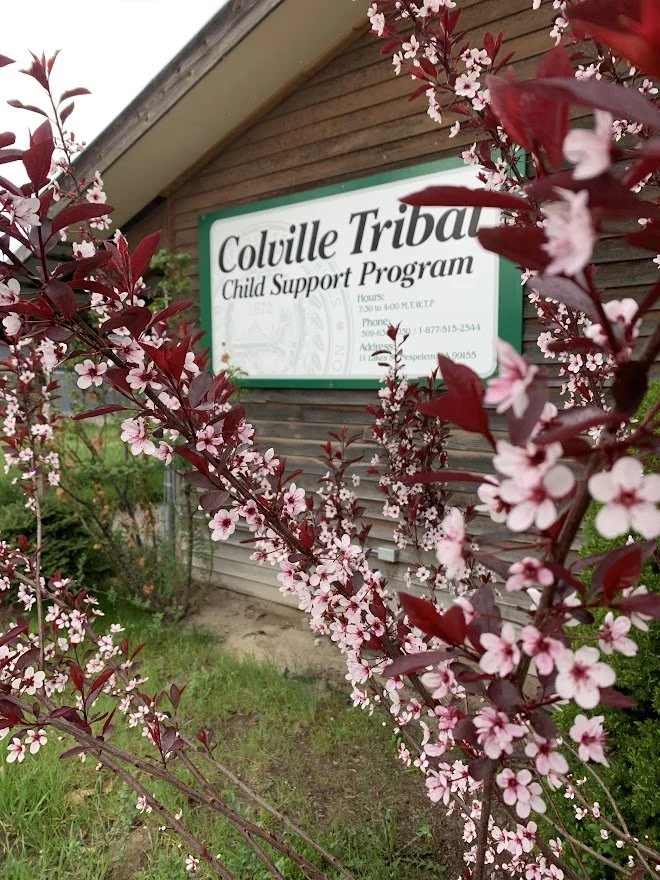 Child Support — Health and Human Services