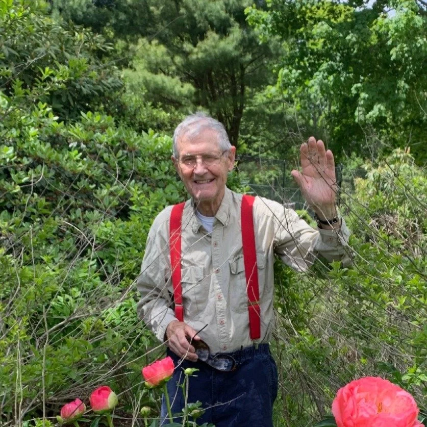 Bruce A Bauman is artist of the month at the Dedham Art Association ...