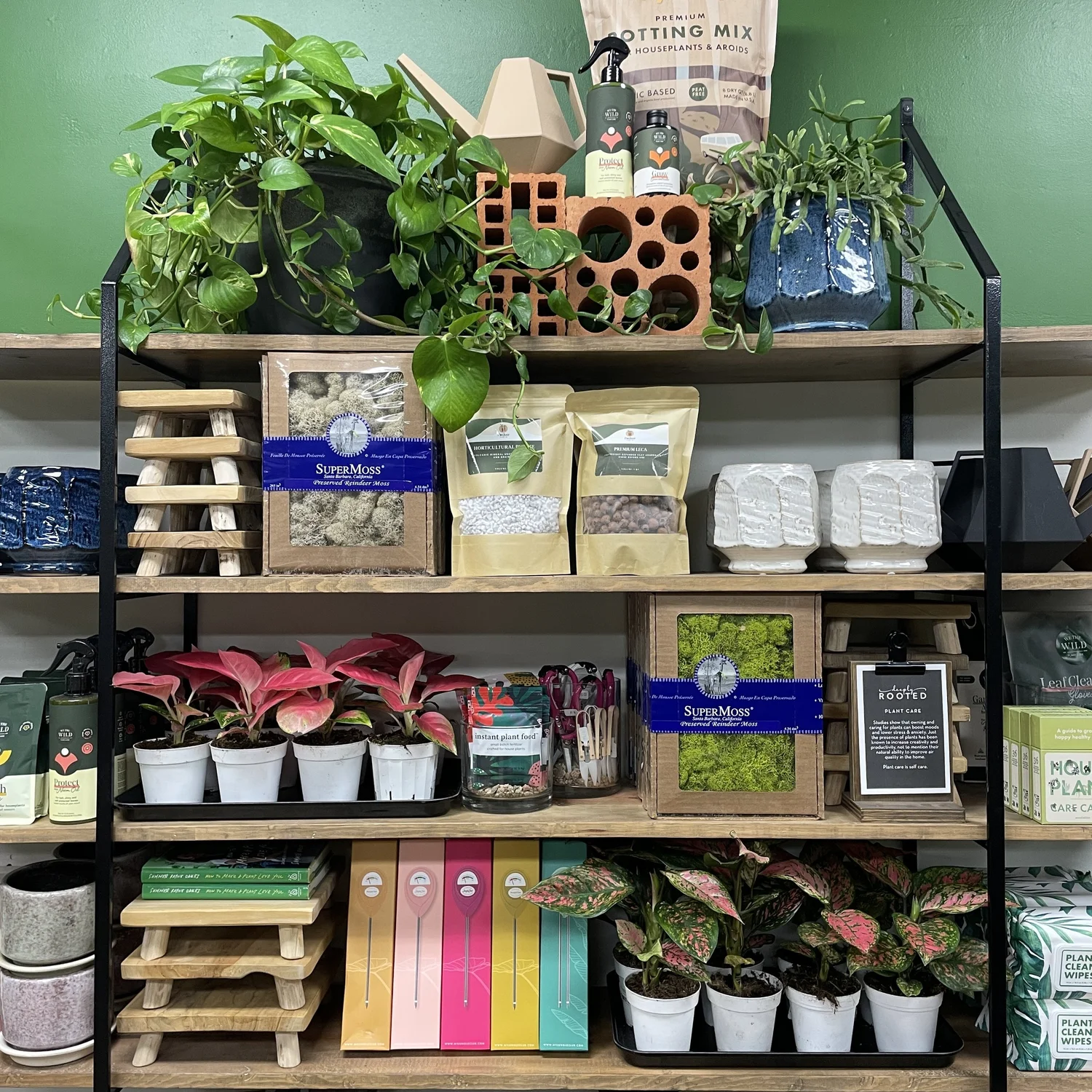 Deeply Rooted Camarillo