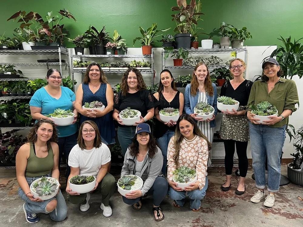 Deeply Rooted Camarillo
