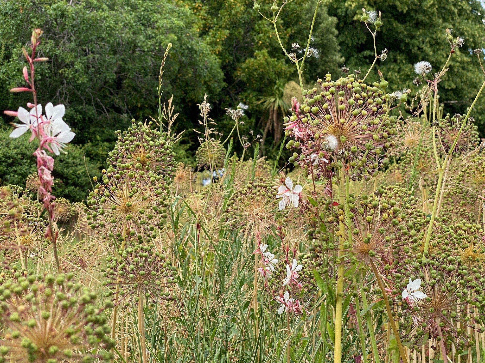 Laura Marr - Previous Projects — MARR Architects