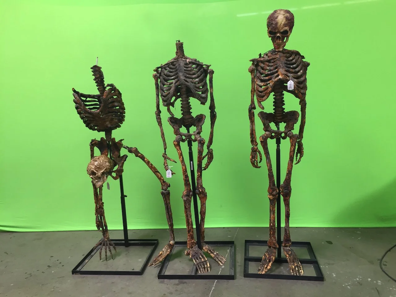 Scary Movie 2 Skeleton Stunt Puppet — ANIMAL MAKERS