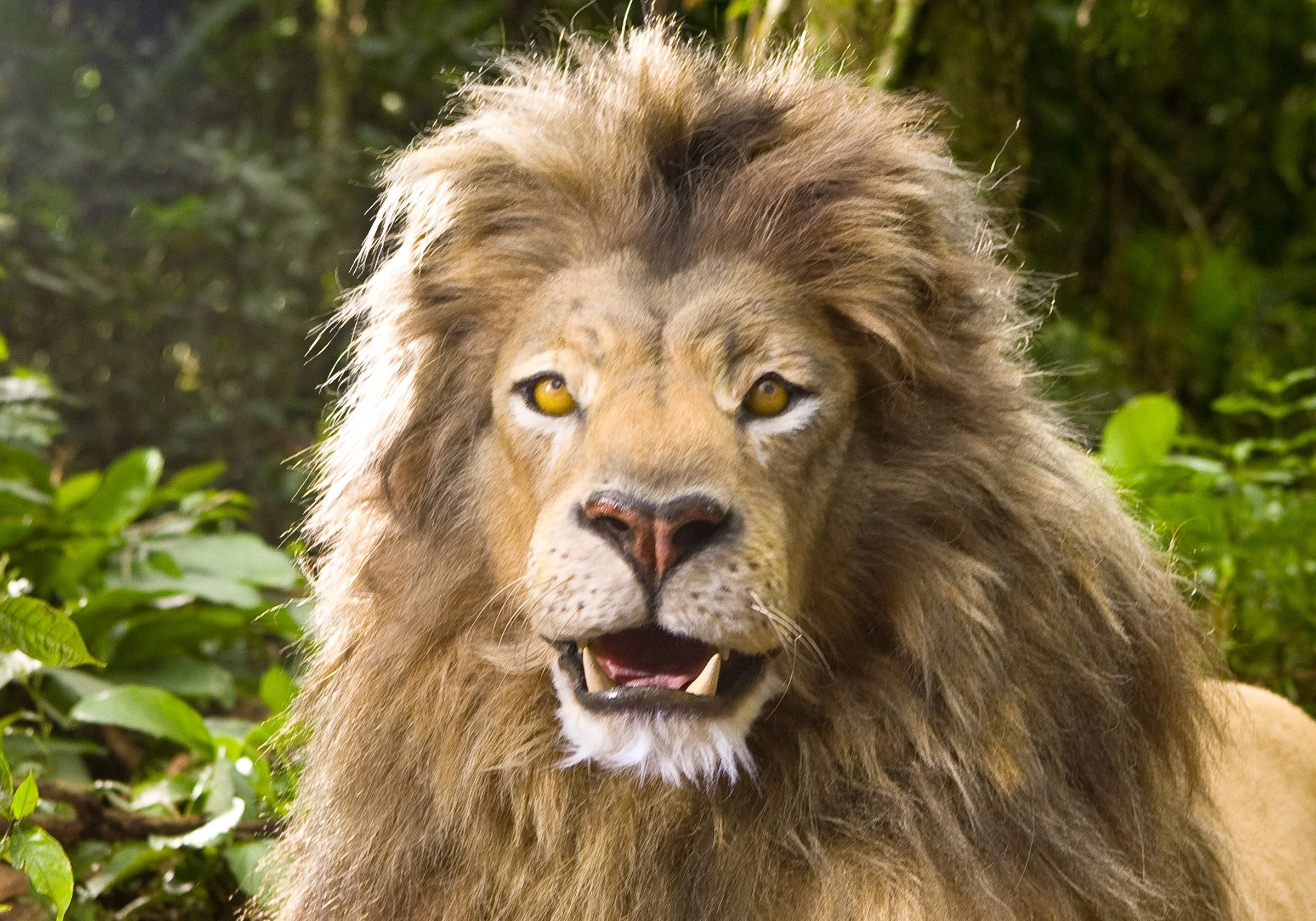 Dubai Animal Displays — ANIMAL MAKERS