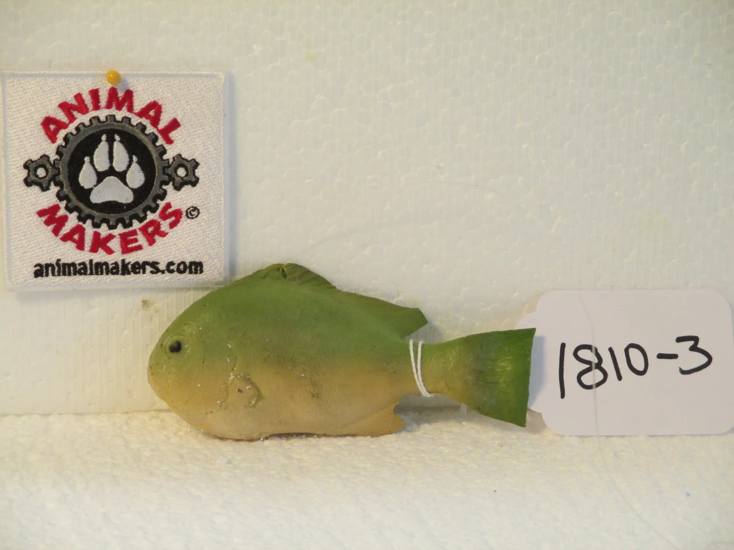 Realistic Fish Props — ANIMAL MAKERS