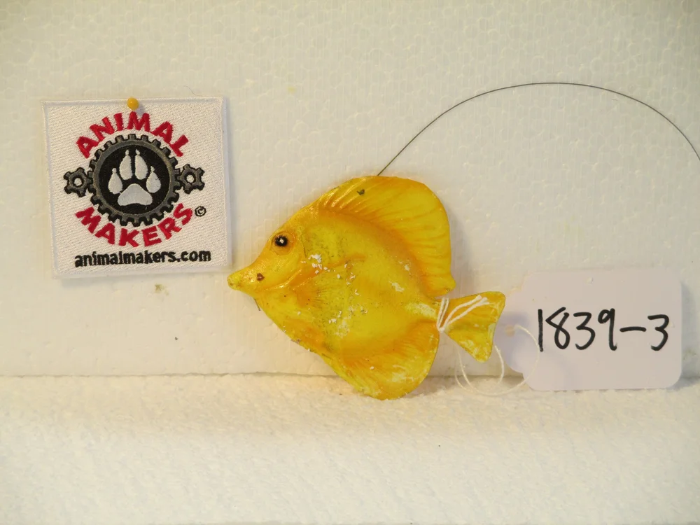 Realistic Fish Props — ANIMAL MAKERS