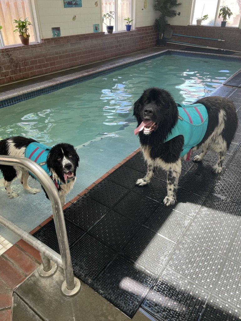 Team — SSW Consulting