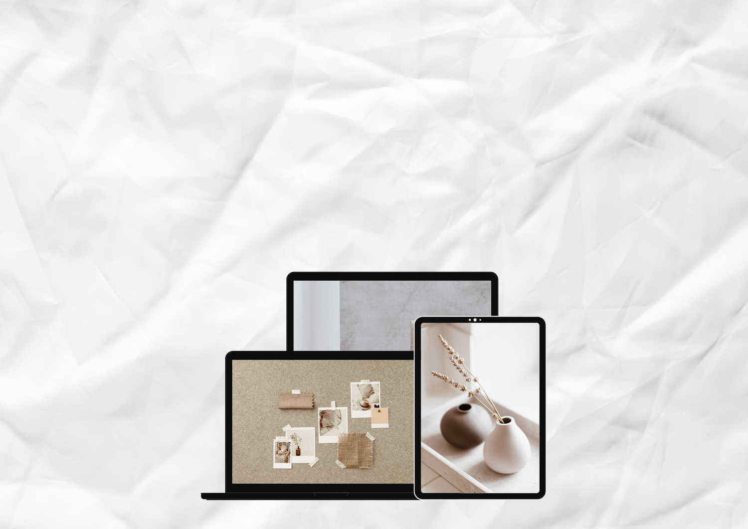 Studio Alta Interiors