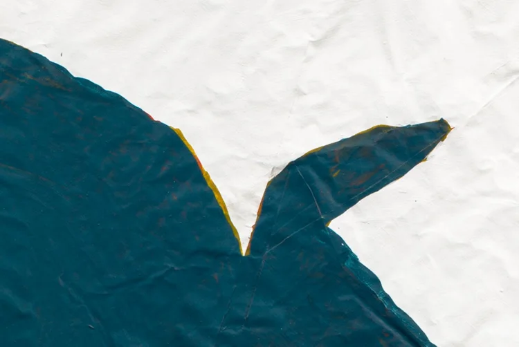 Disrupted Drawings — Nancy Murphy Spicer