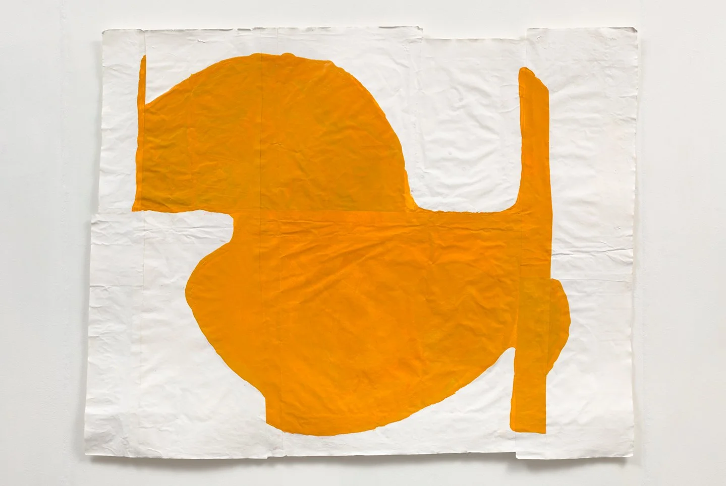 Disrupted Drawings — Nancy Murphy Spicer