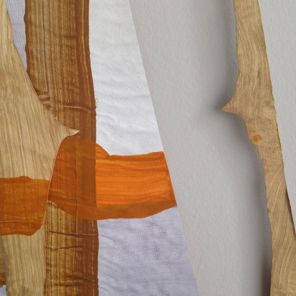 Disrupted Drawings — Nancy Murphy Spicer