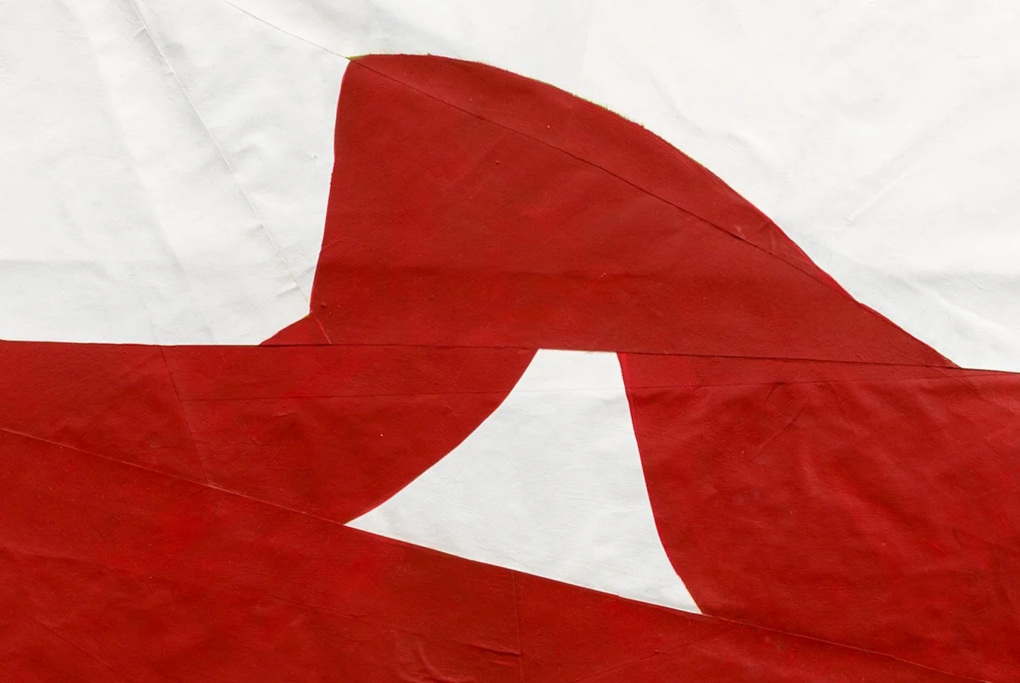 Disrupted Drawings — Nancy Murphy Spicer