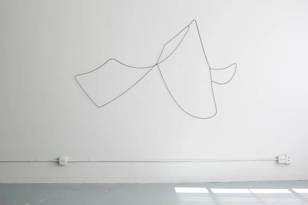 Hanging Drawings — Nancy Murphy Spicer