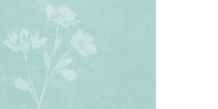 Bloom True | Create, Discover, Grow