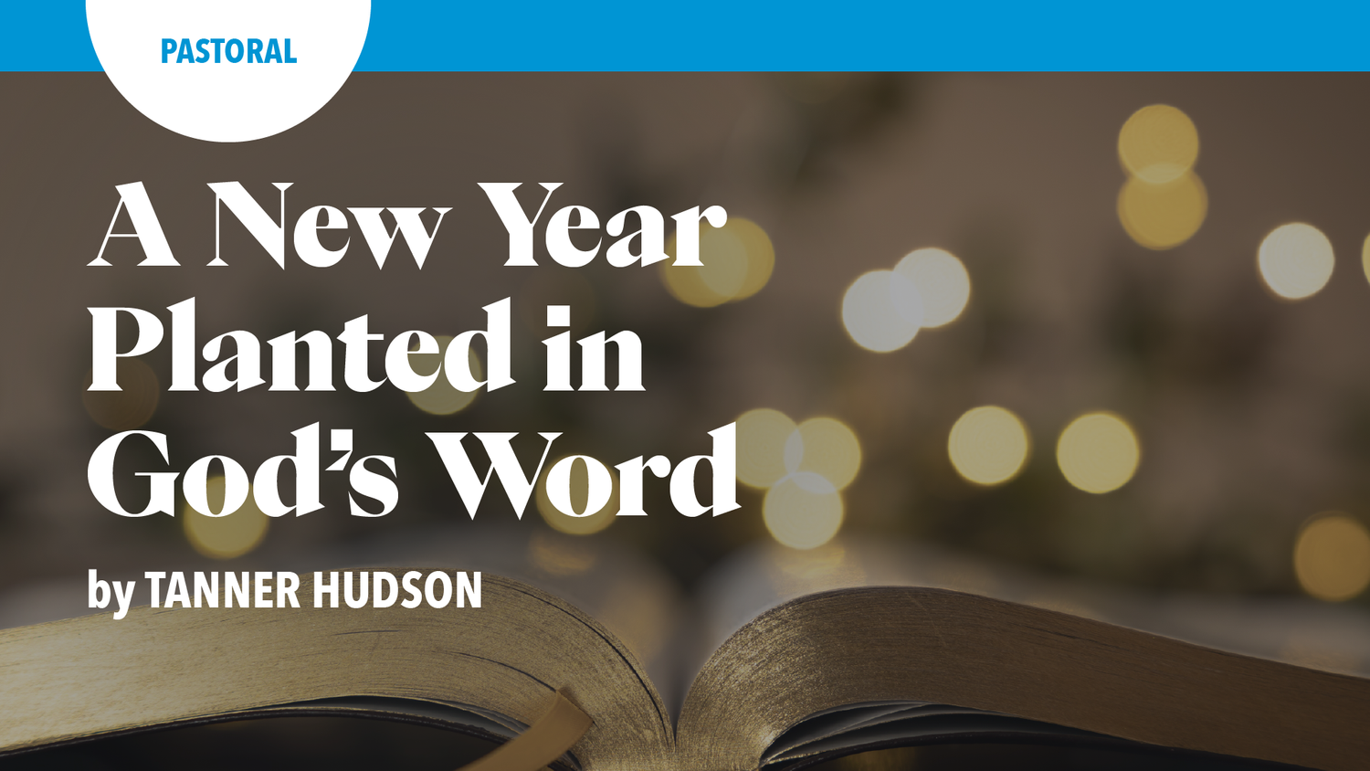 A New Year Planted in God’s Word | Articles — Scottsdale Bible Church