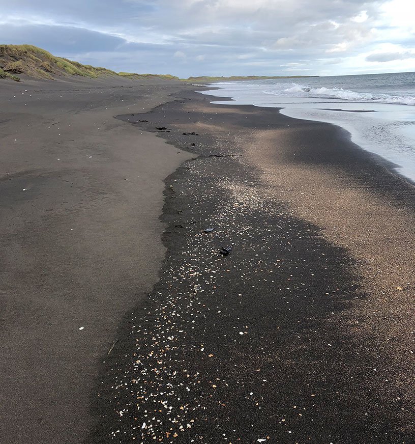 Our Team — Awalix, LLC