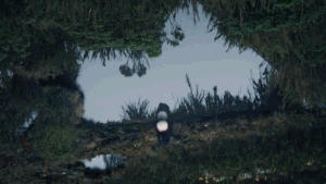 Chelsea Wolfe releases new song and video ‘Tunnel Lights’ — Birdsrobe