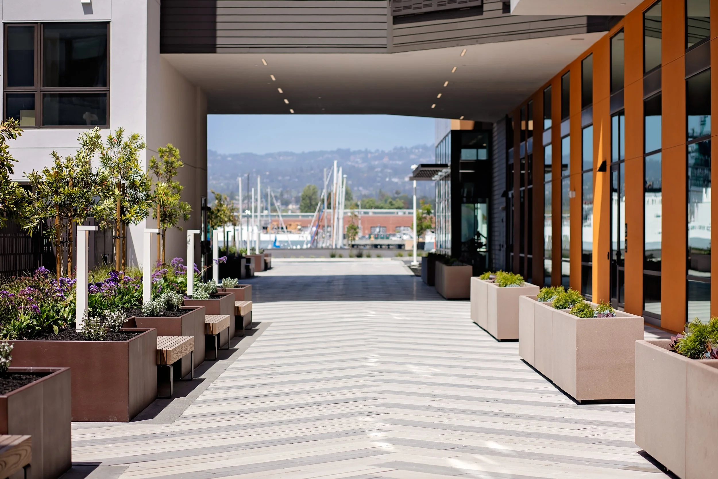 The Launch — BDE Architecture