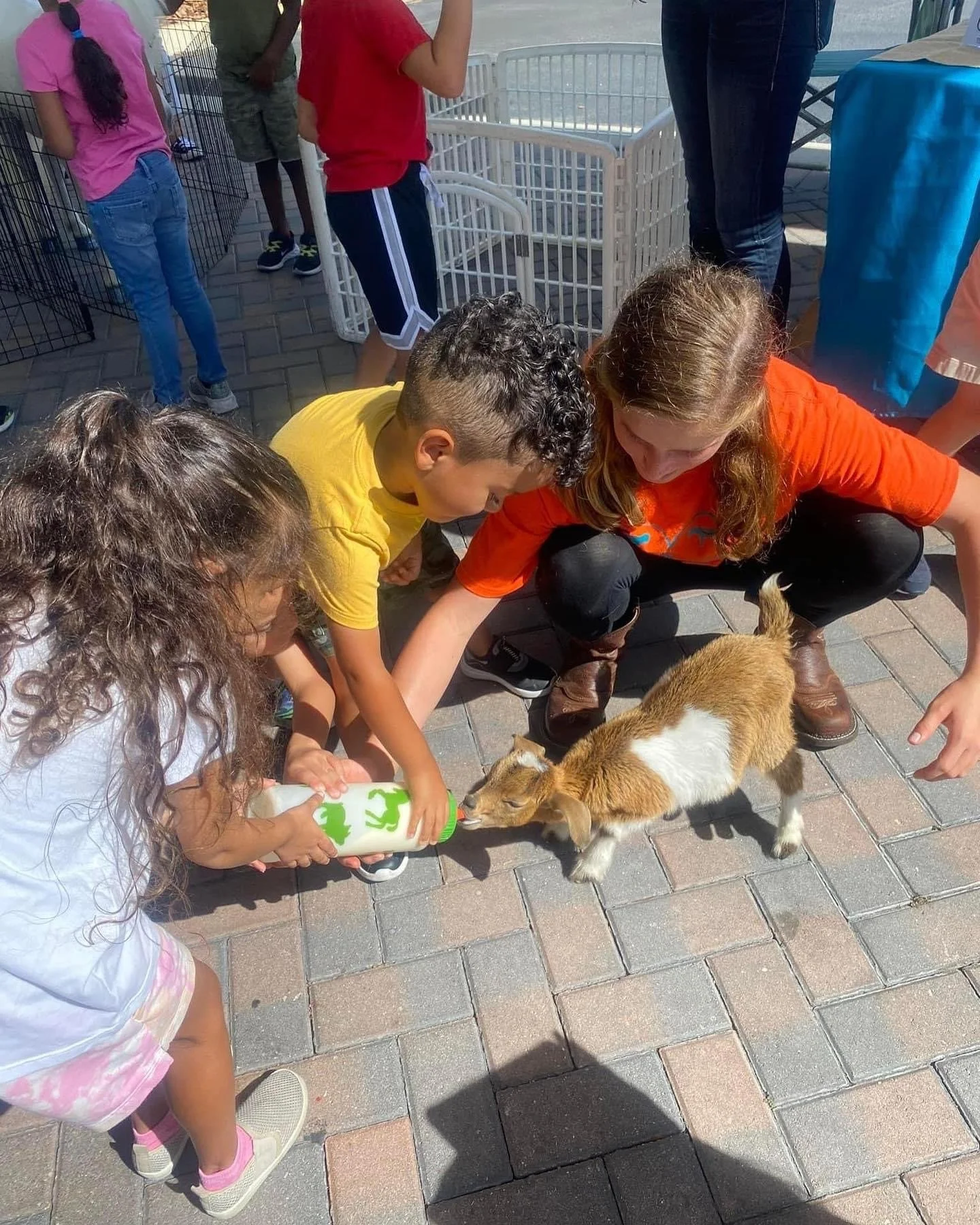 General 2 — Lil' Bit of Life