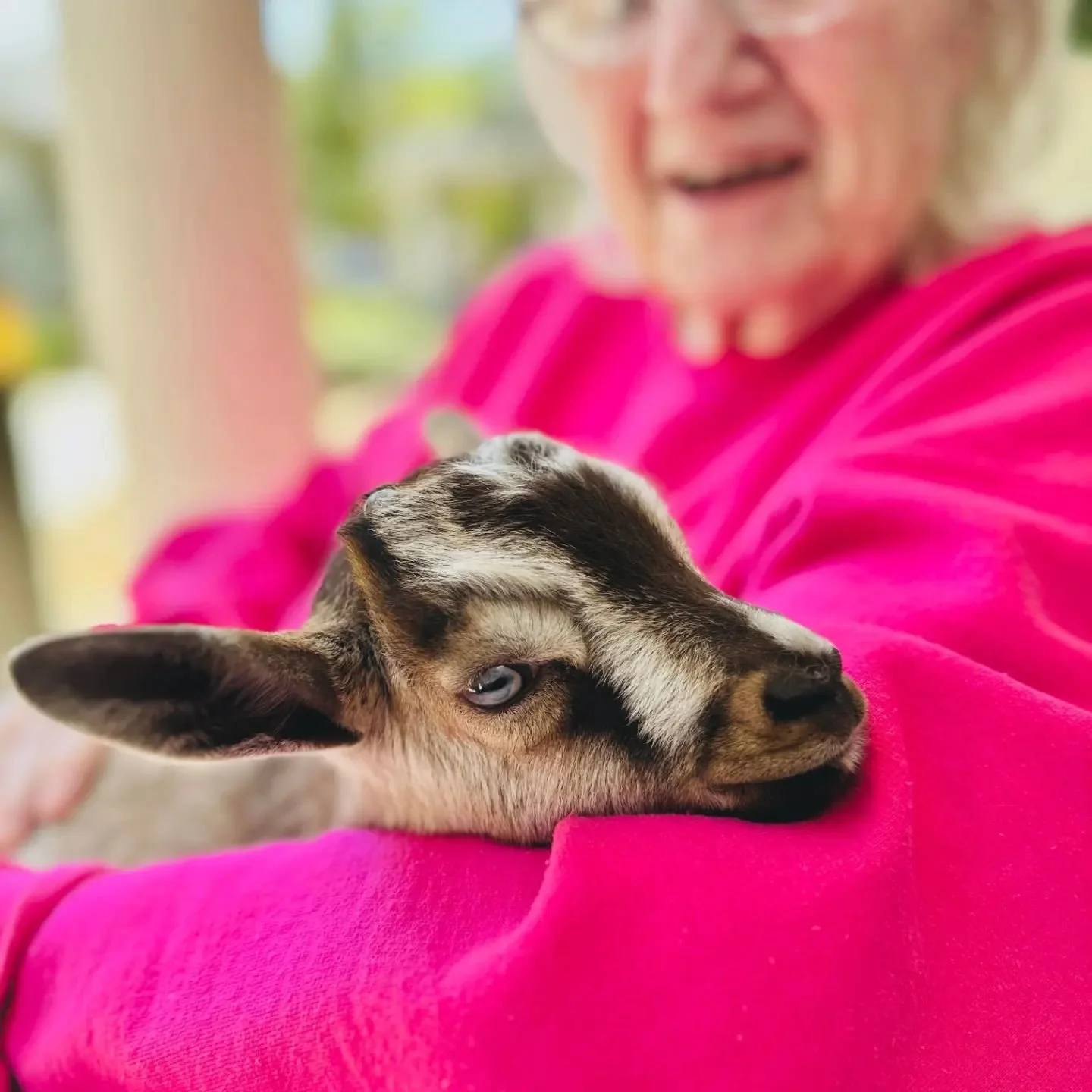 General 2 — Lil' Bit of Life