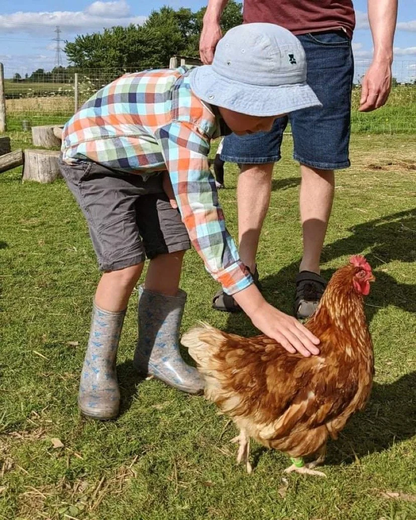 Little Hobby Hill Farm