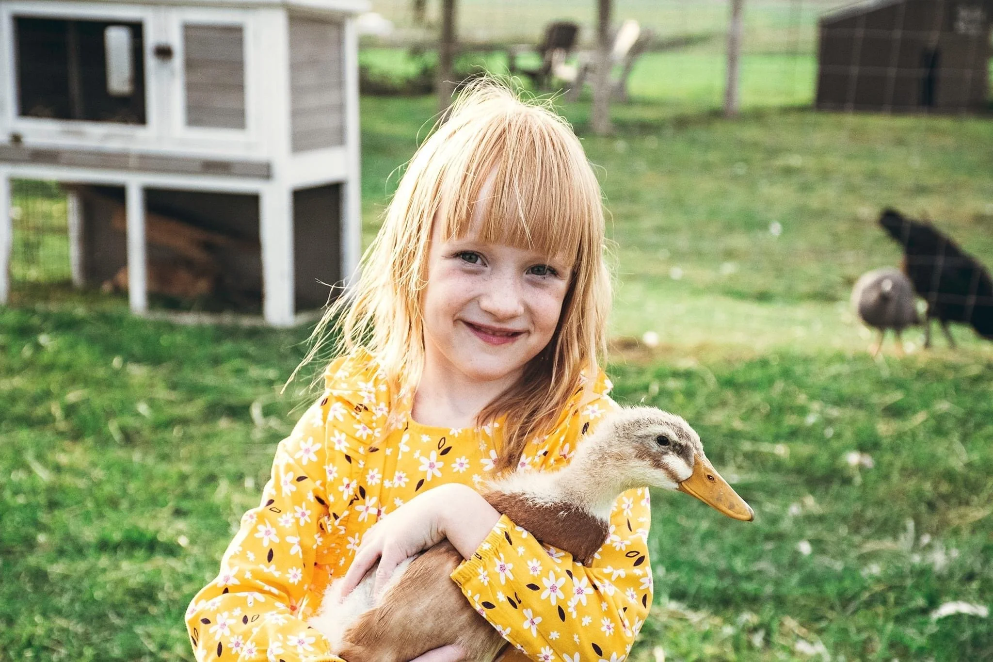 Little Hobby Hill Farm