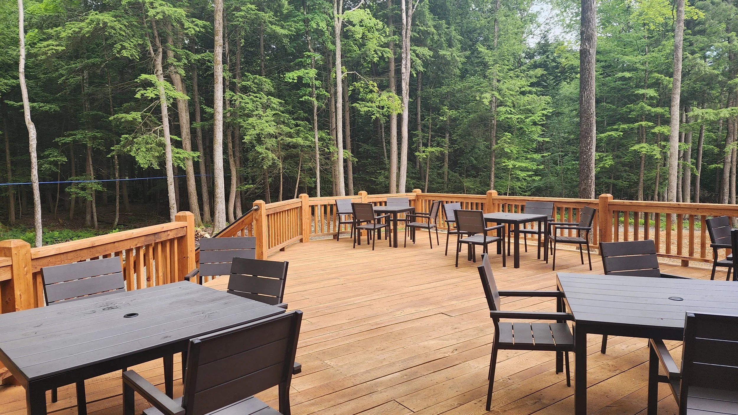 Explore Birdseye Hollow Farm & Distillery: Spirits, History & Maple ...