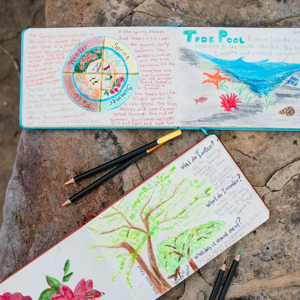 Nature Journal and Nature Study Tools — Jeannie Fulbright Press