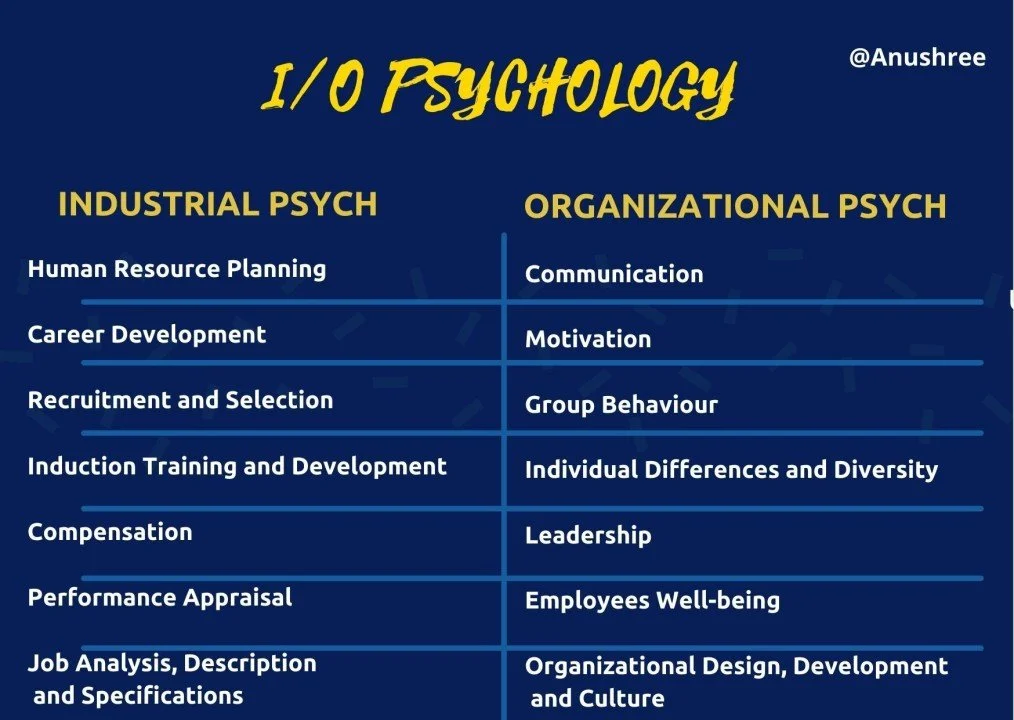 I/O Psych & Cultural change — The Rebirth Group