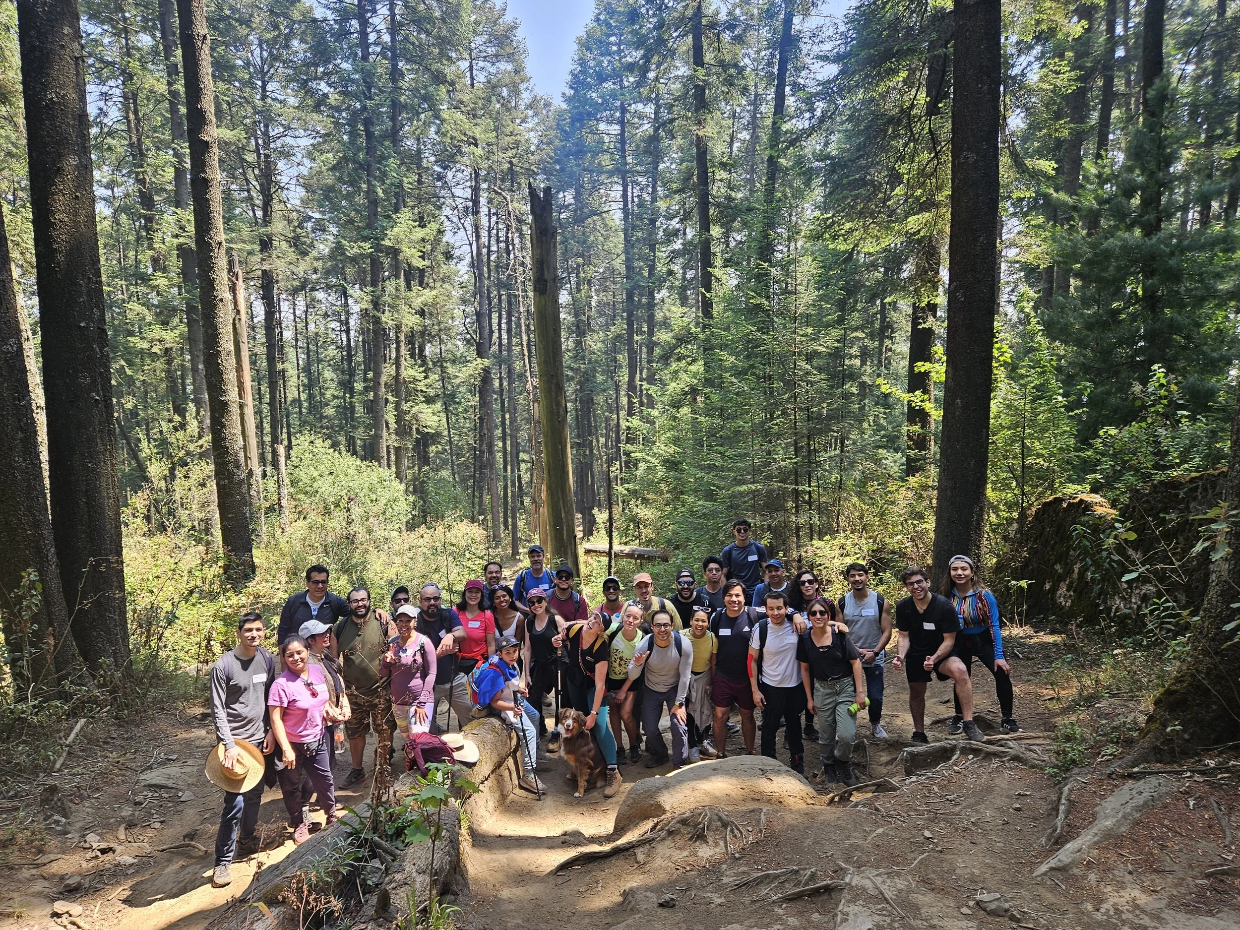 Forest Networking Hike Recap | FIGHT CLUB CDMX May Event — FIGHT CLUB CDMX