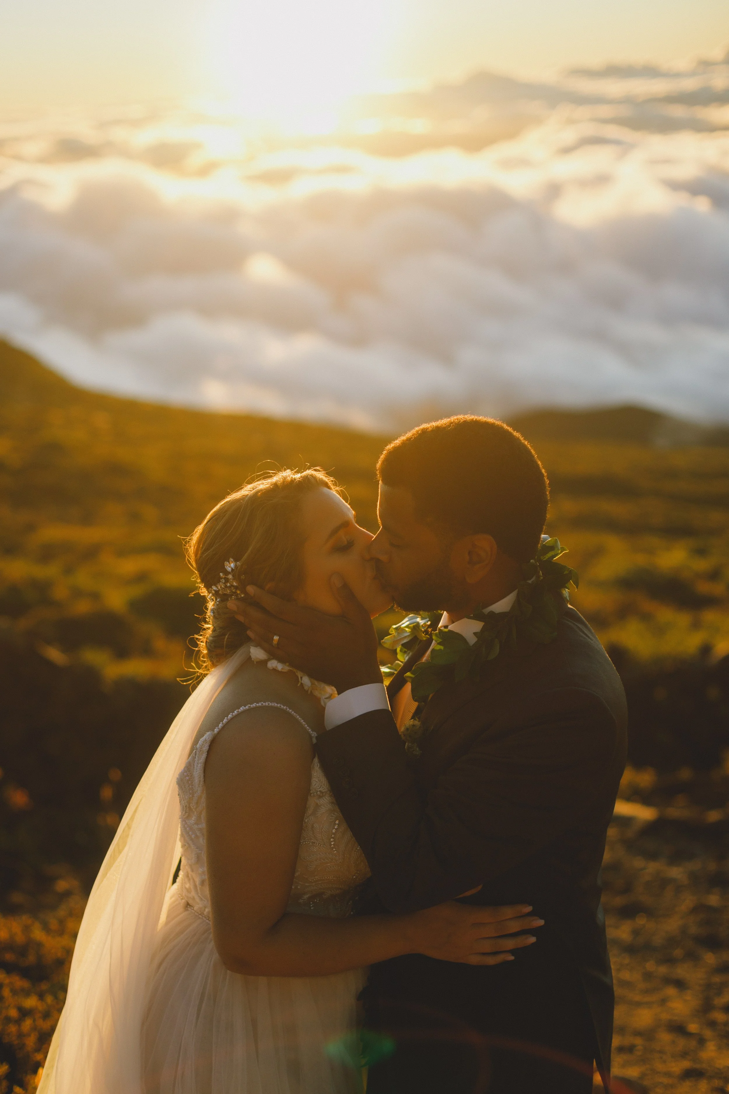 A & A — elope maui (Copy)