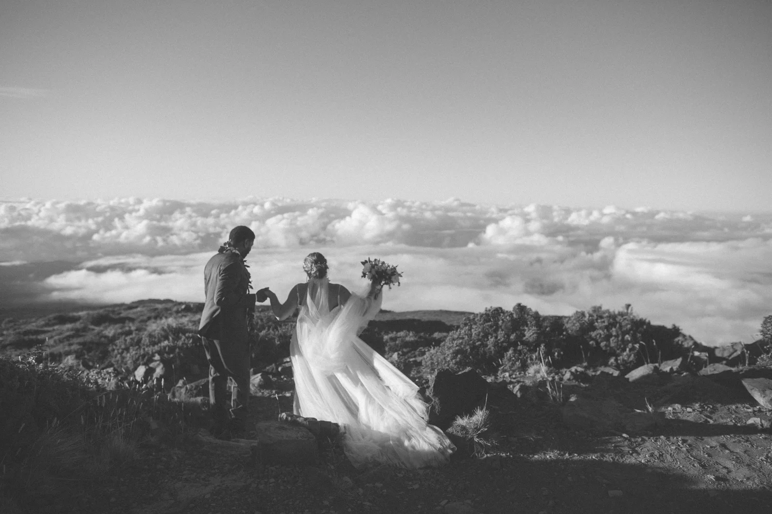 A & A — elope maui (Copy)