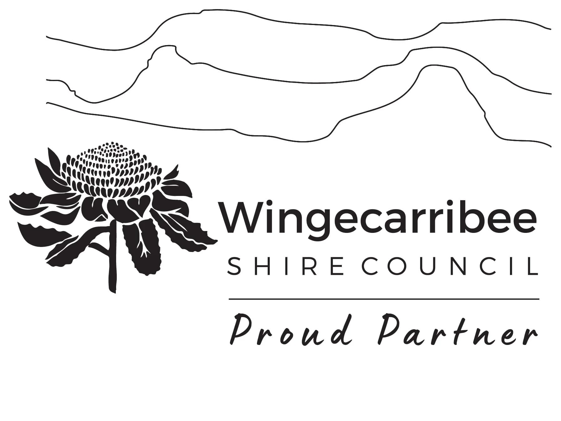 VOLUNTEER REGISTRATION — Bundanoon Folk Festival