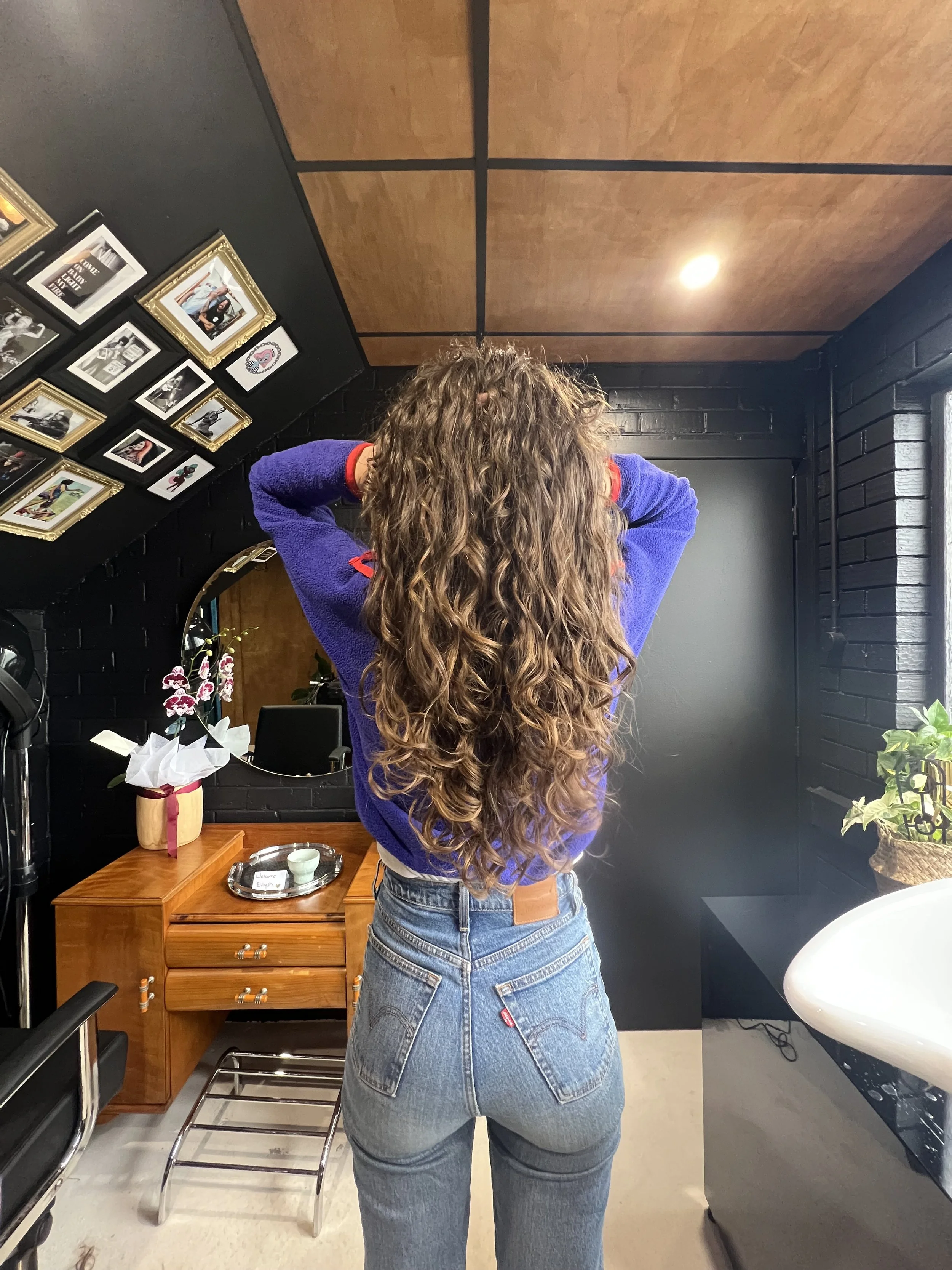 Electric Curl Studio